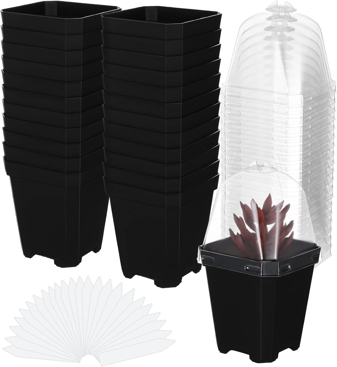 Amazon.com: 48 Sets Plant Nursery Pots with Humidity Dome 3 Inch Seed ...