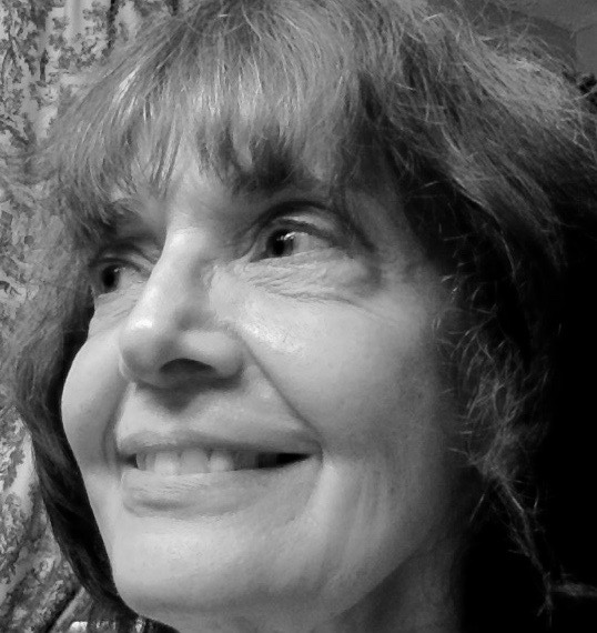 Amazon.com.mx: Susan LaRosa: libros, biografía, última actualización