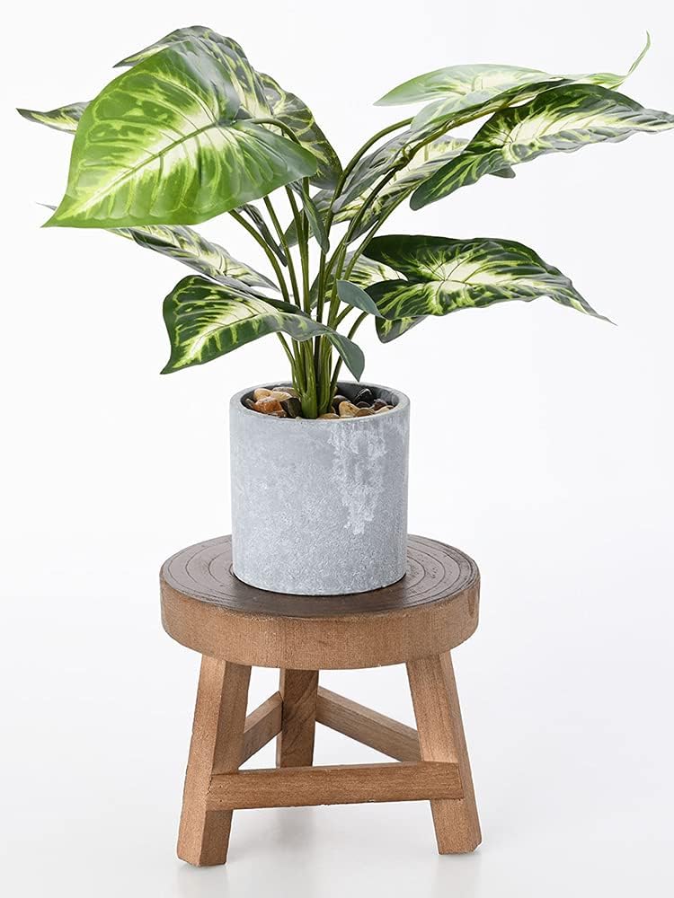 Amazon.com : NMFIN Mini Wooden Stool Plant Stand,Wood Plant Stands ...