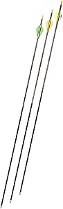 Amazon.com : Gold Tip Kinetic Hunter 400 Arrows with 2-Inch Vanes (72 ...