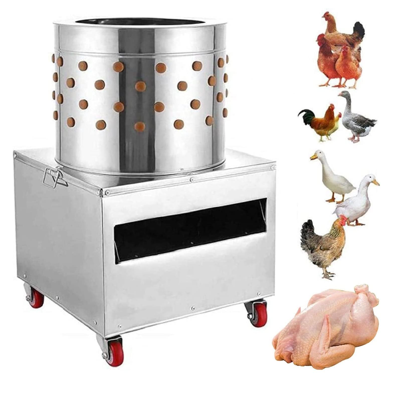 Amazon.com : PQNQN 20" Chicken Plucker Machine,2HP 275R/min Stainless ...