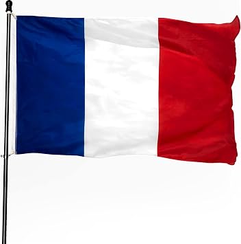 Amazon.com : WHGJ French Flag 3x5 ft France National Flag with ...