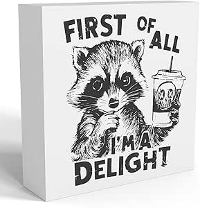 Amazon.com: Funny Raccoon Decor Racoon Bathroom Decor Raccoon Ornament ...