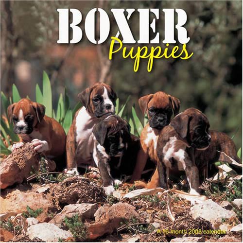 Boxer Puppies 2008 Wall Calendar: Magnum Publications: 9781602540453 ...