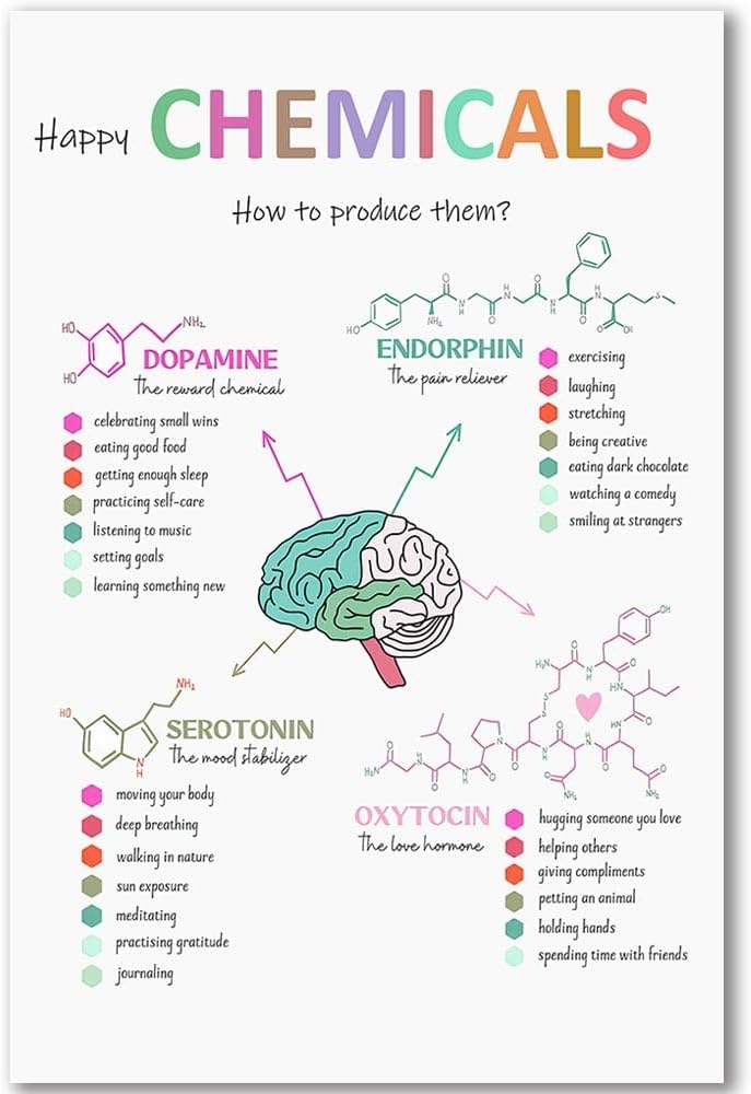 Amazon.com: Calming Corner Posters Happy Chemicals Poster Print Mental ...