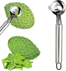 Amazon.com: Stainless Steel Cactus Thorn Remover, Manual Pasta Cutter ...