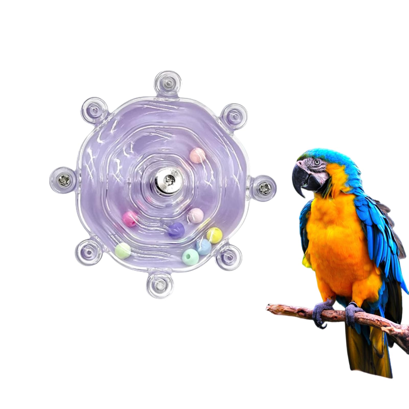 Amazon.com : MANON ROSA Bird Toys for Parakeets: Colorful Interactive ...