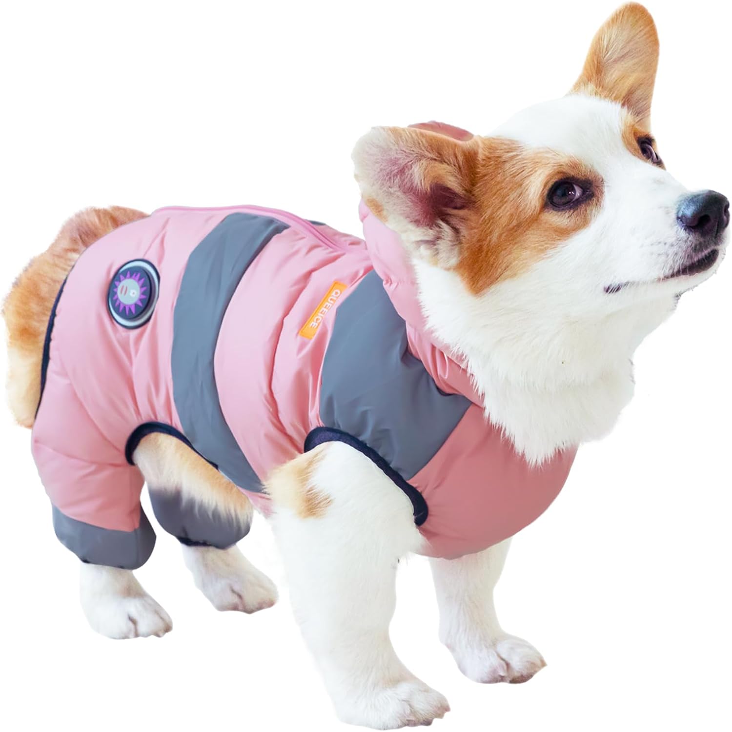 Amazon.com : QUEEICE Warm Dog Down Puffer Jacket with Hat and 4 Legs ...