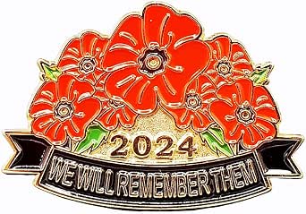 2024 Red Poppy Badges Pins Lest We Forget Remembrance Day Military Army ...