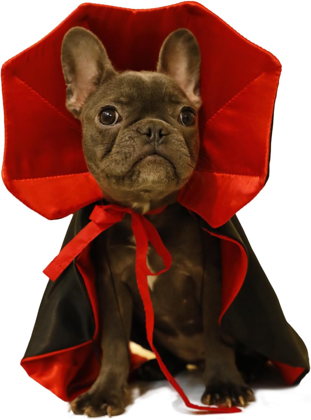 Amazon.com : Meihejia Halloween Cat Vampire Cape Costume - Super Cute ...