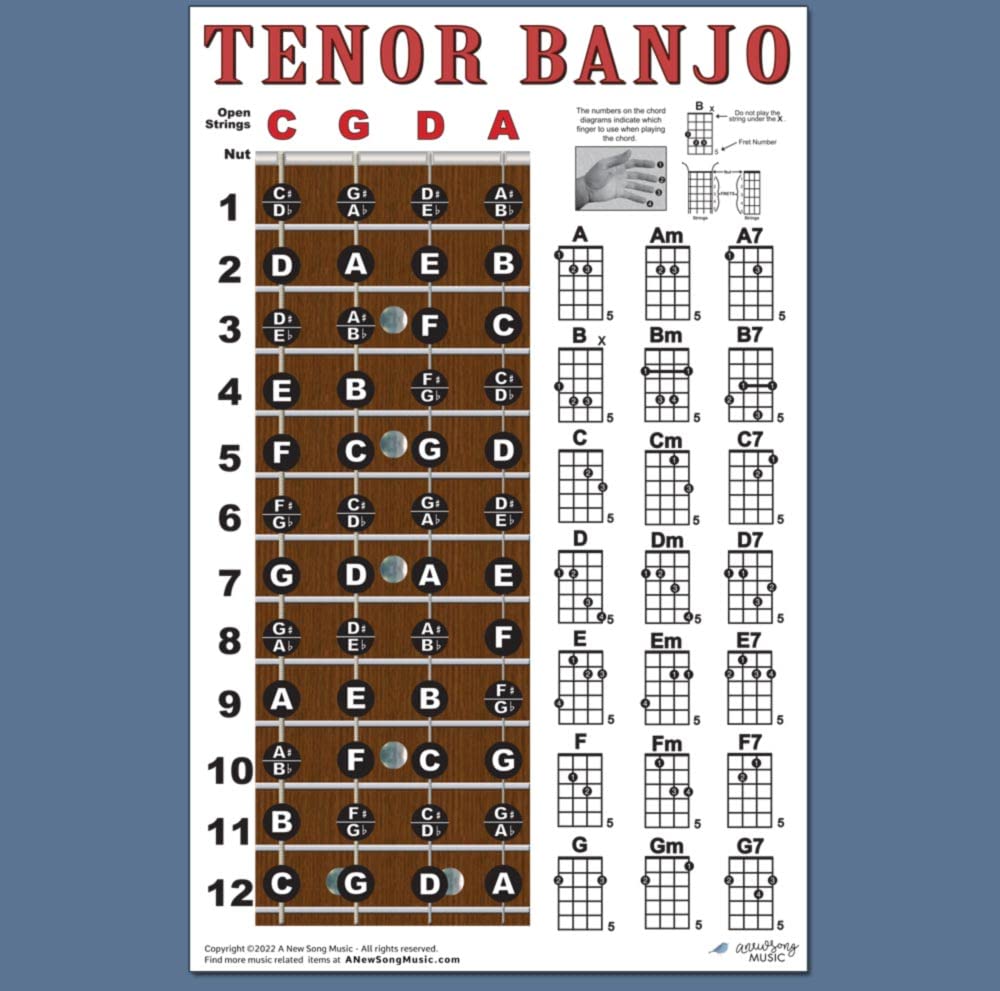 Buy Tenor 4 String Banjo Fingerboard Notes & Chord Poster Wall Chart ...