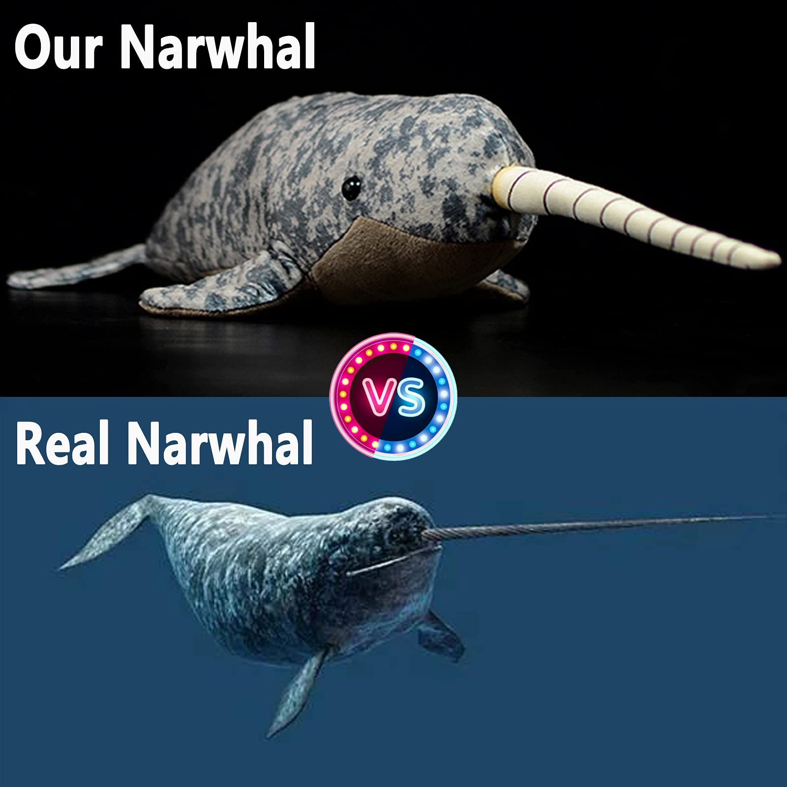 Real Narwhal Whale