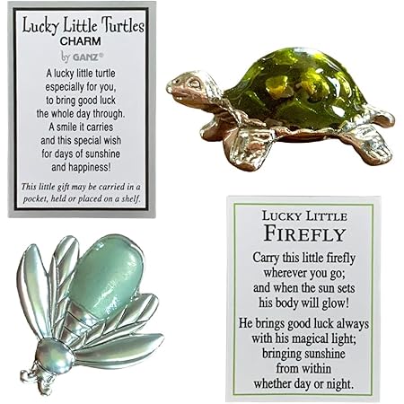 Amazon.com: Ganz Good Luck Sea Turtle Pocket Charm with Story Card ...