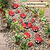 Amazon.com: Gerrii 18 Pcs Small Resin Ladybugs Garden Decor Stones ...