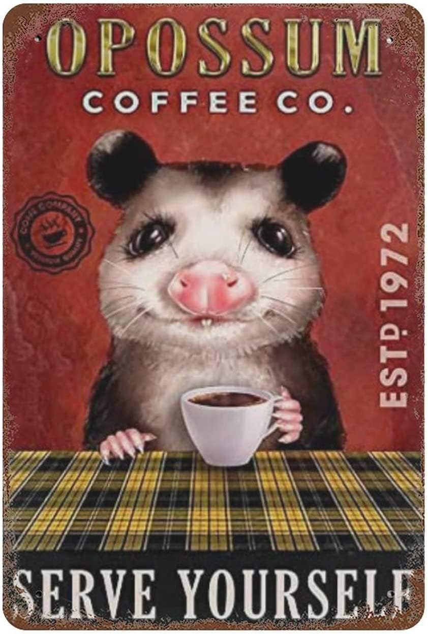 Amazon.com: Nostalgic Vintage Metal Wall Décor 8 X 12 Inches Opossum ...