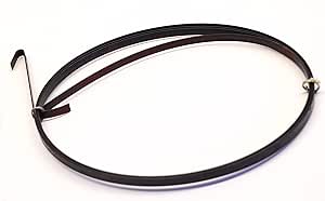 Amazon.com : Briggs & Stratton 292046 Rewind Starter Spring : Tools ...