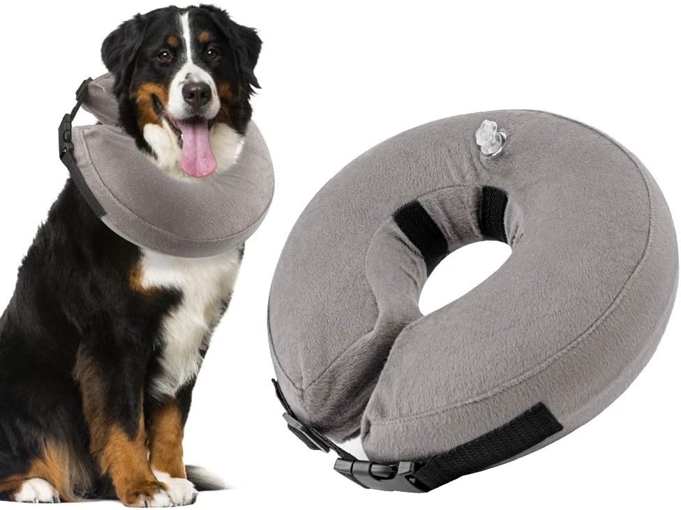 Buster Inflatable Collar, L : Amazon.co.uk: Pet Supplies
