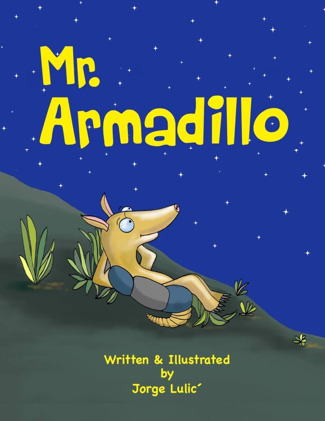 Mr Armadillo: Lulic, Jorge: 9781536943993: Amazon.com: Books