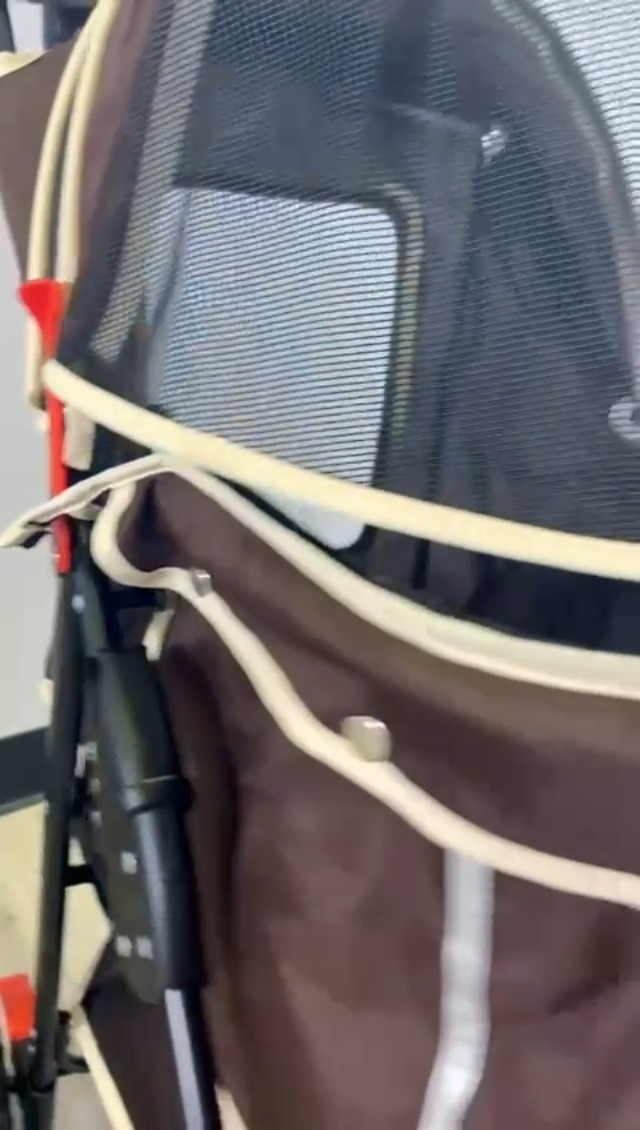 Watch AmorosO Foldable Pet Stroller on Amazon Live