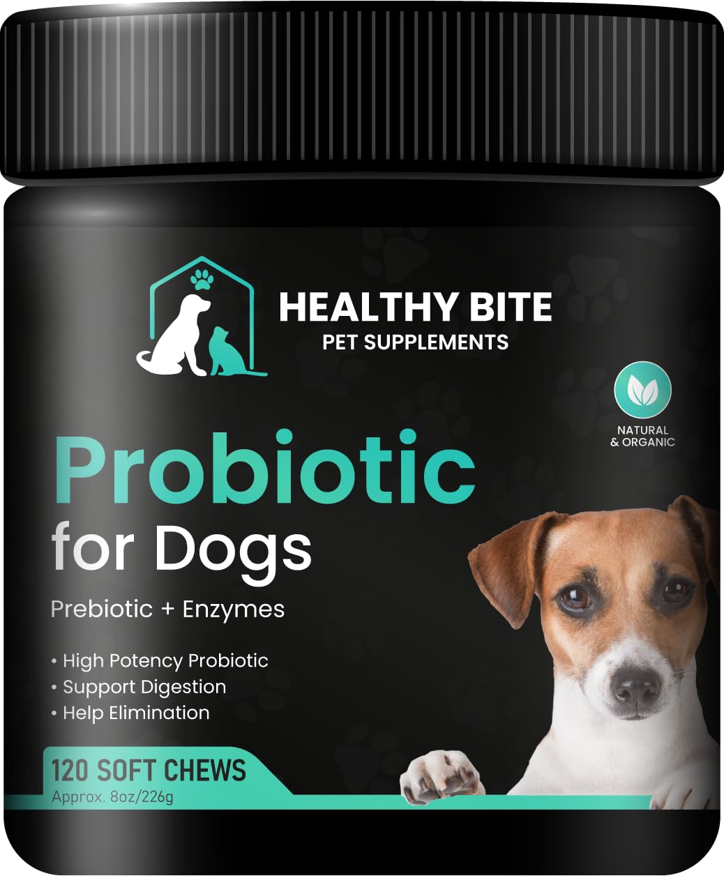 Amazon.com : Healthy Bite Probiotic for Dogs - Dog probiotic for ...
