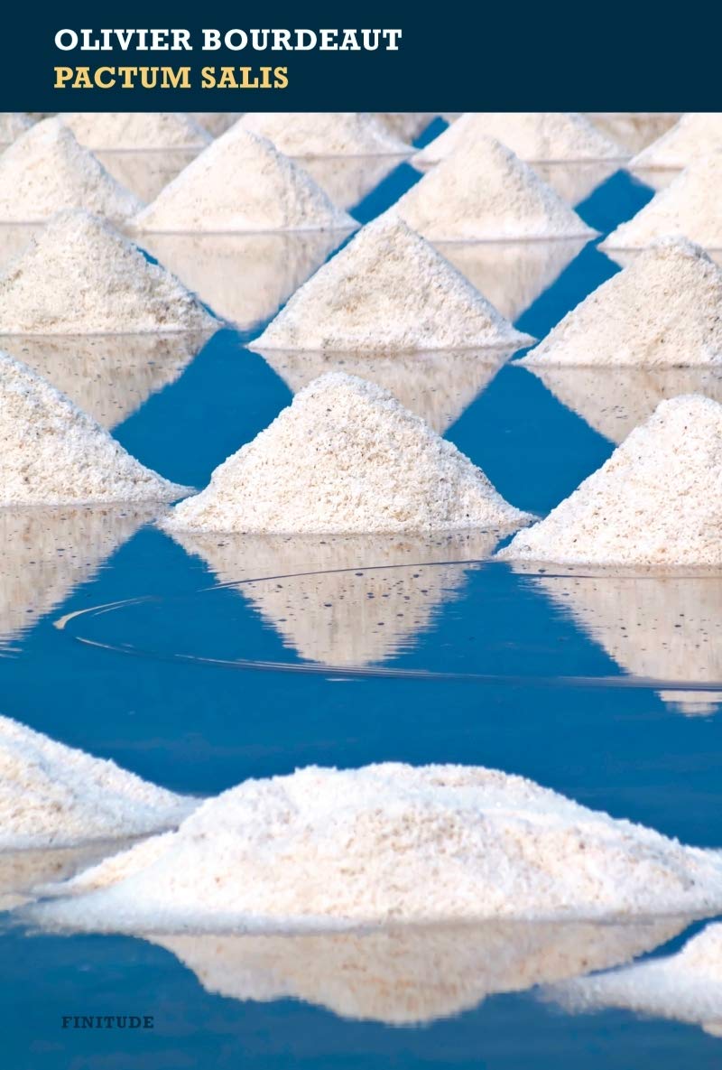 PACTUM SALIS (French Edition): BOURDEAUT, Olivier: 9782363390905 ...