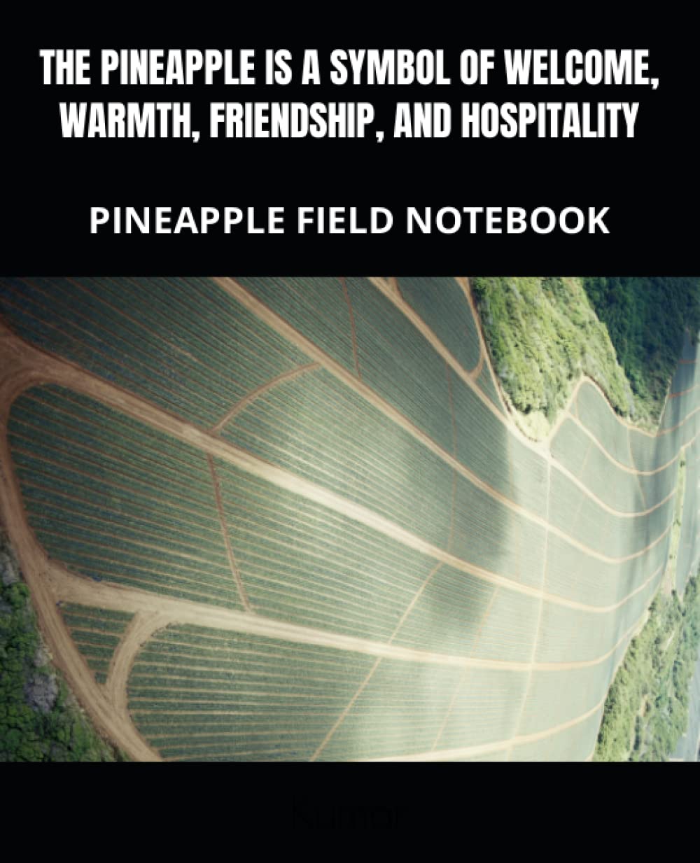 THE PINEAPPLE IS A SYMBOL OF WELCOME, WARMTH, FRIENDSHIP, AND ...