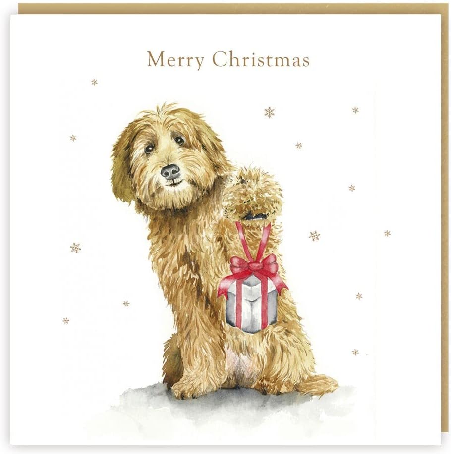 Single Luxury Cockapoo Christmas Card (RUD) : Amazon.co.uk: Stationery ...