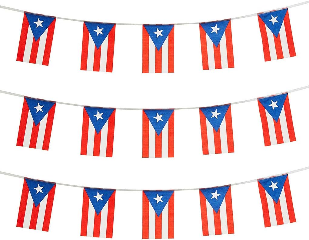 Amazon.com : TSMD Puerto Rico Stick Flag Puerto Rican Small Mini Hand ...