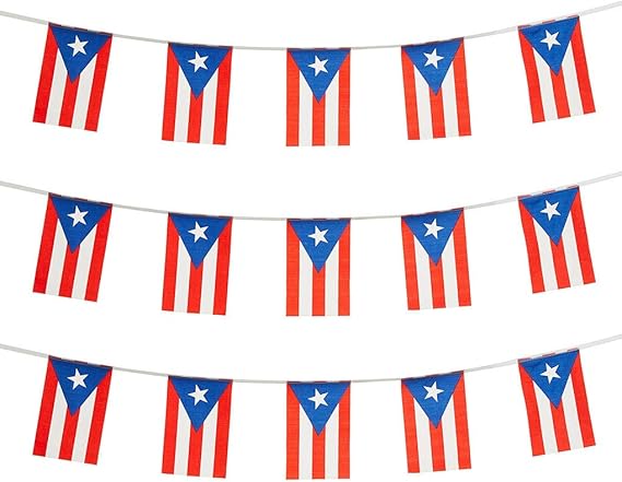 Amazon.com : Puerto Rico Flag Puerto Rican Flag, Small String Puerto ...