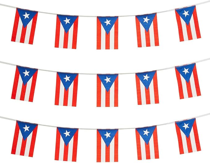 Amazon.com : Puerto Rico Flag Puerto Rican Flag, Small String Puerto ...
