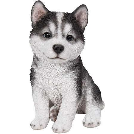 Amazon.com: Siberian Husky Puppy Dog Animal Figurine 76376 : Home & Kitchen