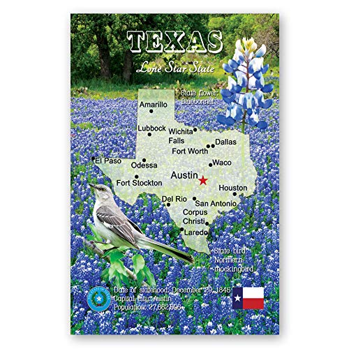 Amazon.com : TEXAS MAP postcard set of 20 identical postcards. TX state ...