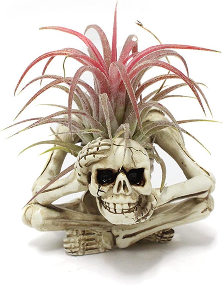 Amazon.com : TAYASH Funny Horror Hand Concrete Flower Pot, Spooky ...