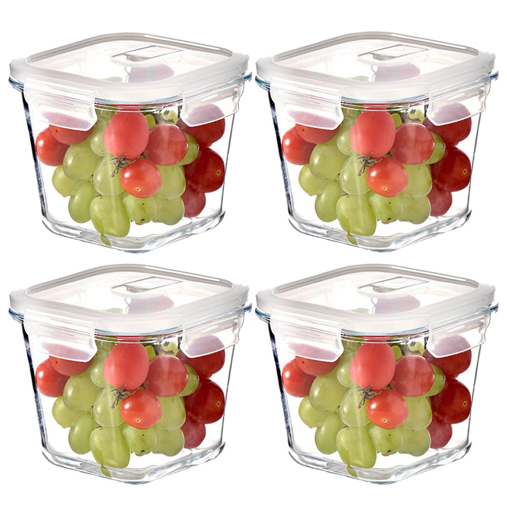 Amazon.com: H.JSS WDJS 3.5 Cup Square Glass Storage Containers, Glass ...
