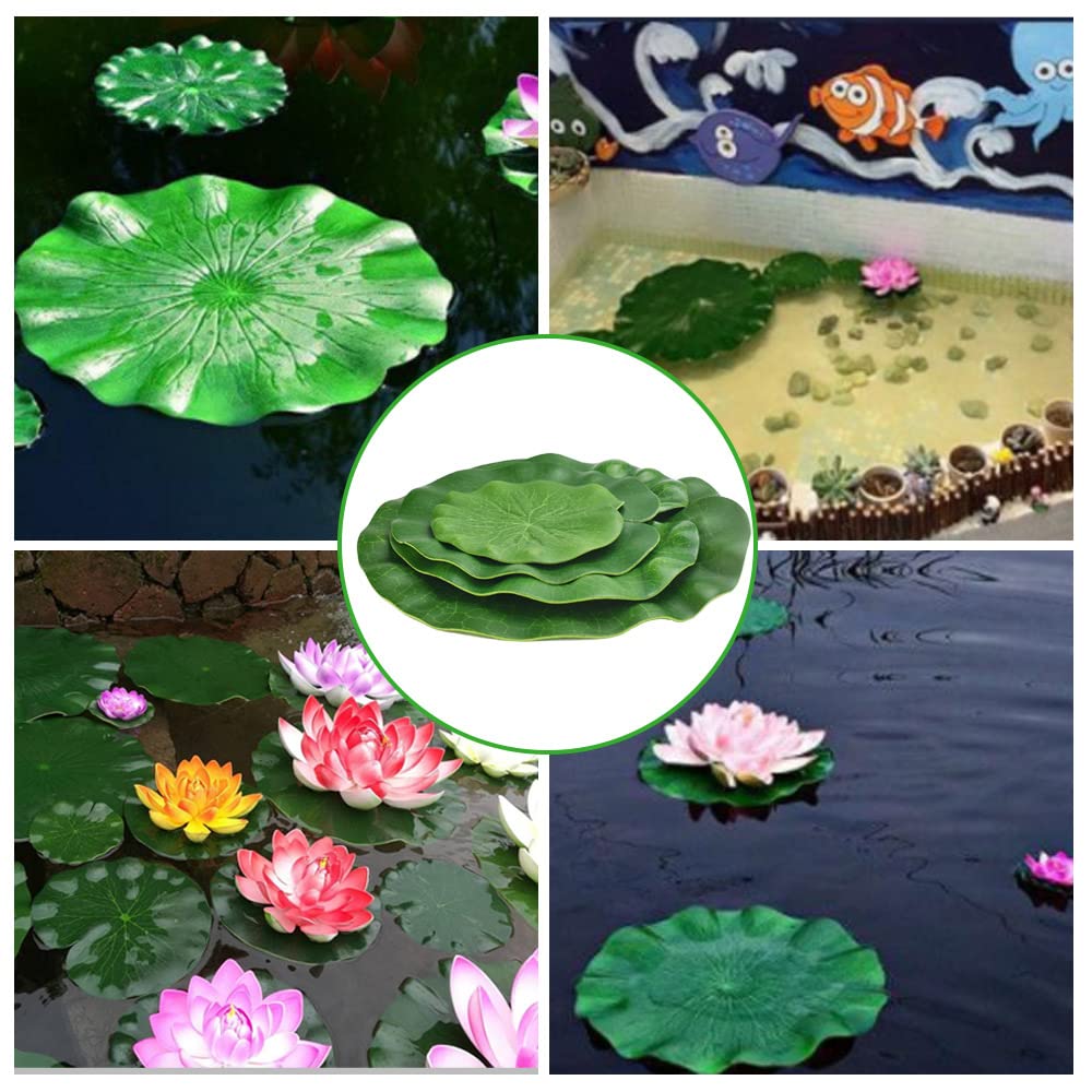 Hojas De Nenúfar Flor De Nenúfar En Un Pequeño Estanque Imagen De