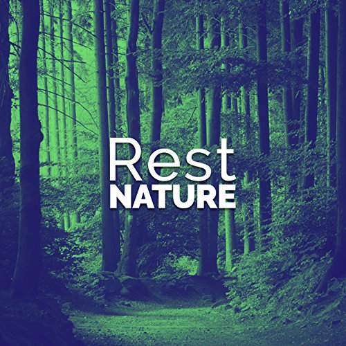 Amazon.com: Rest: Nature : Rest & Relax Nature Sounds Artists: Digital ...