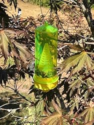 Amazon.com : RESCUE! Reusable Yellowjacket Trap – Includes Attractant ...