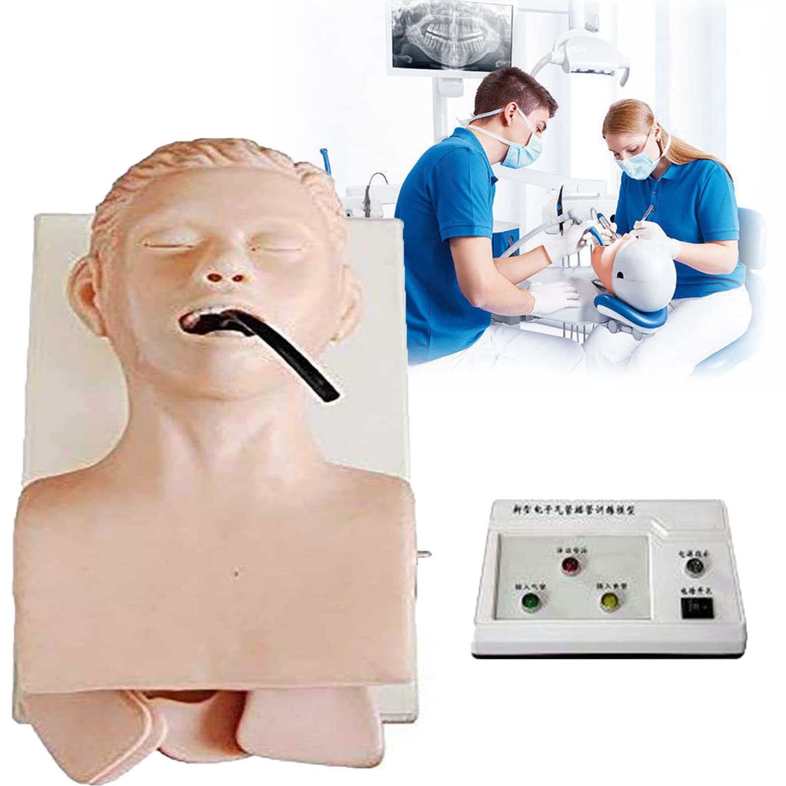 PVC Medical Mannequin PVC Intubation Training Manikin With Alarm ...