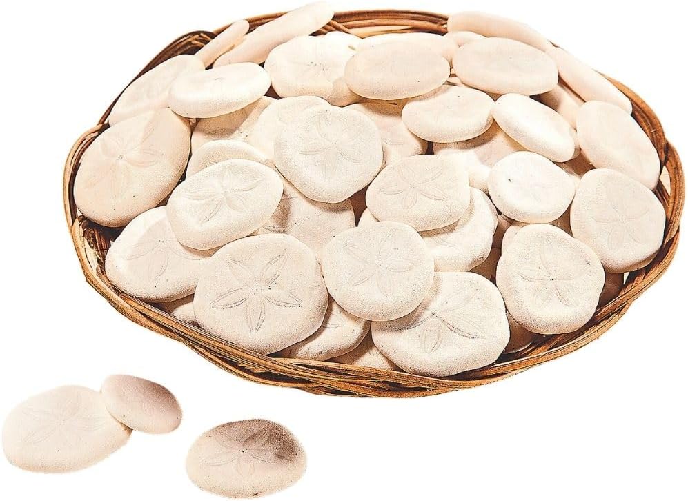 Amazon.com: Tumbler Home Small Natural White Sand Dollars 50 pcs ...