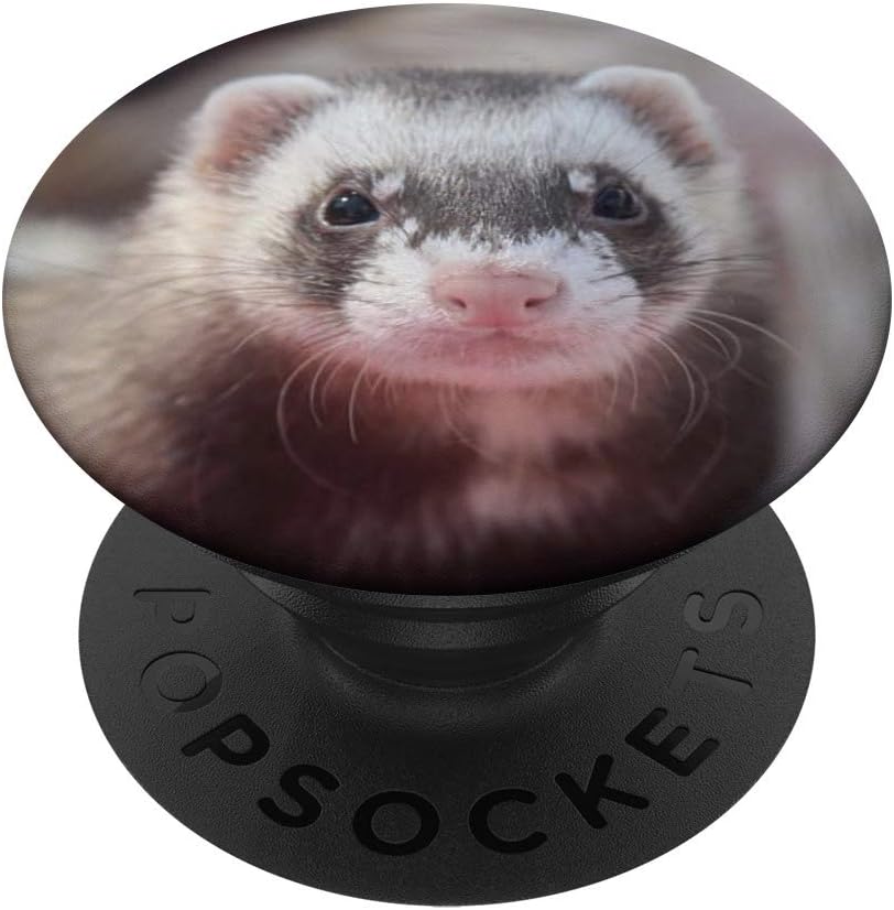 Amazon.com: Ferret Pop Socket Phone Holder PopSockets PopGrip ...