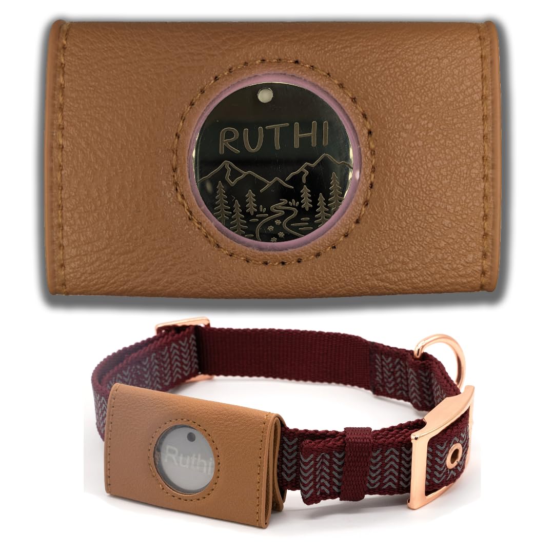 Amazon.com: Dog Collar ID Holder - Dog Tag Silencer - No Noise Dog Tag ...