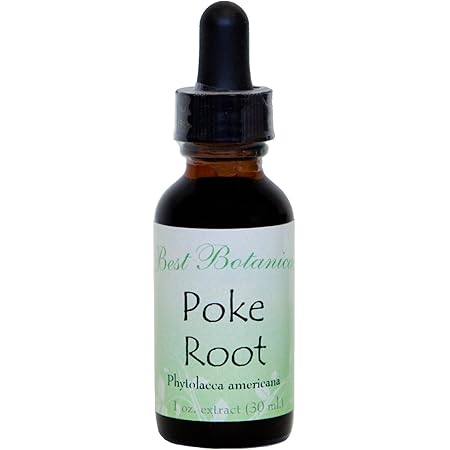 Amazon.com: Best Botanicals Poke Root Extract 1 oz : Health & Household