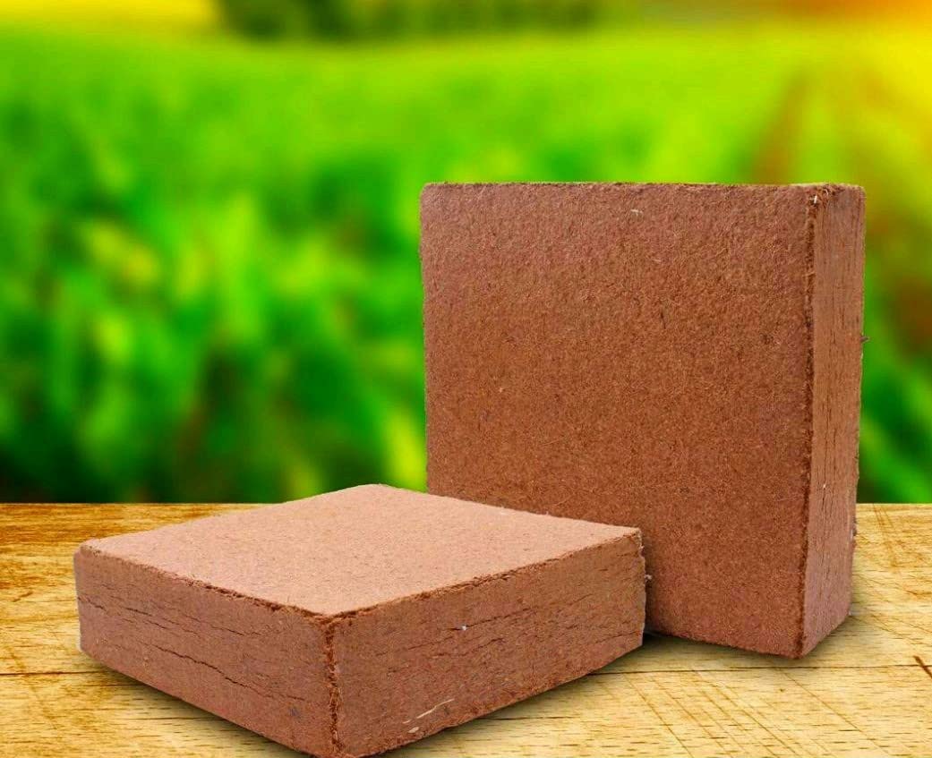 GoCoir Products Cocopeat 10KGS High Ec Blocks for Garden : Amazon.in ...