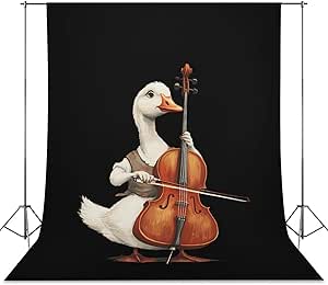 Amazon.com: Cello Goose Music Artist Photography Background Cloth ...