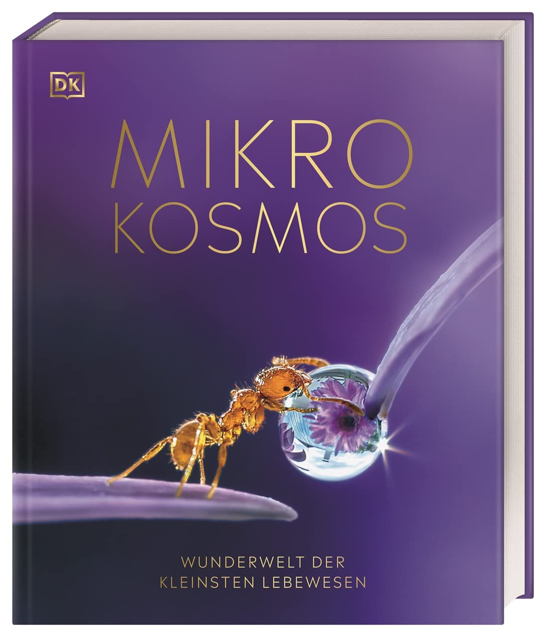 Mikrokosmos - Wunderwelt der kleinsten Lebewesen Buch