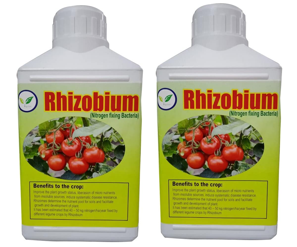 IAgriFarm® Latest Release Rhizobium Inoculant Boi-Fertilizer 2L| LIQUID ...
