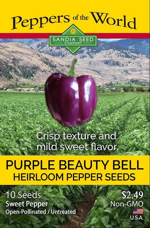 Amazon.com : Purple Beauty Heirloom Bell Pepper 10 Seeds Non-GMO : Home ...