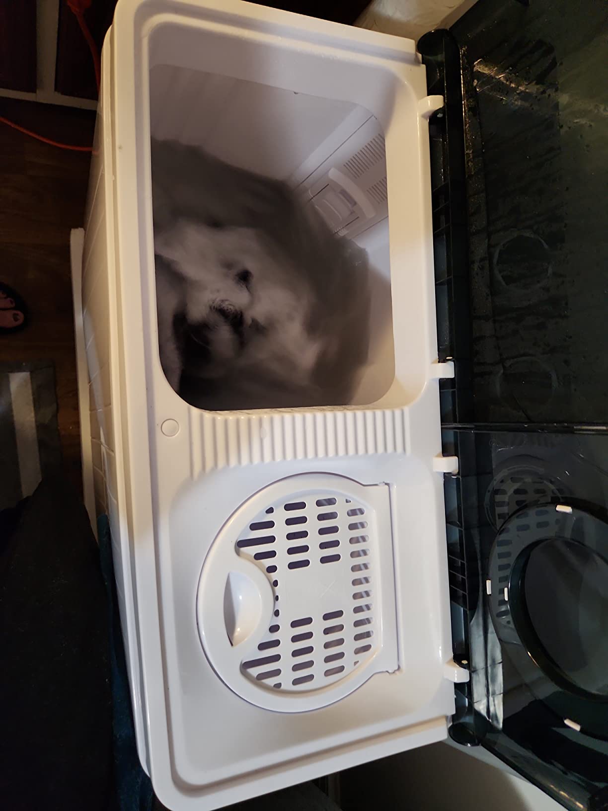 $22/mo - Finance Homguava Portable Washing Machine 17.6Lbs Capacity ...