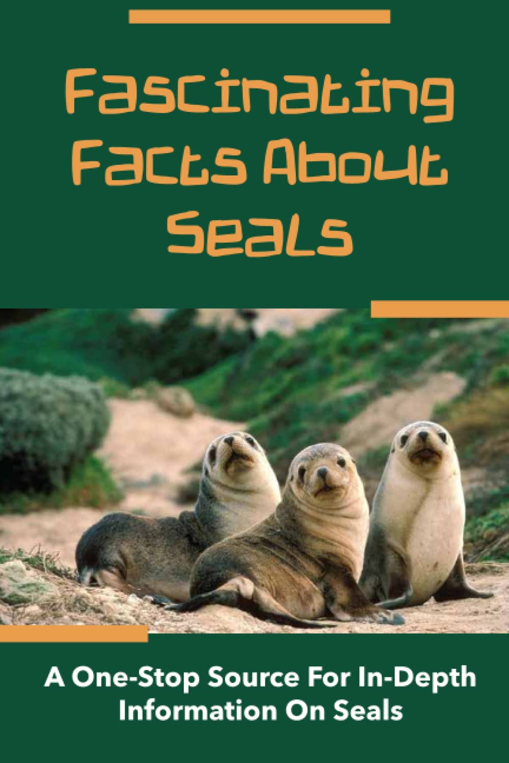 Fascinating Facts About Seals: A One-Stop Source For In-Depth ...