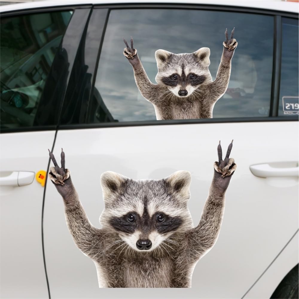 Amazon.com - 3D Racoon in The Window Car Decal Sticker Funny Raccoon ...